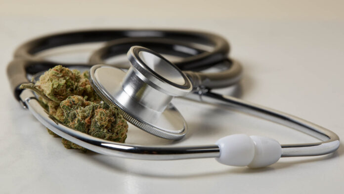 A Short Guide to Cannabis for Medical Purposes – Clinica Ortho Dontics ...